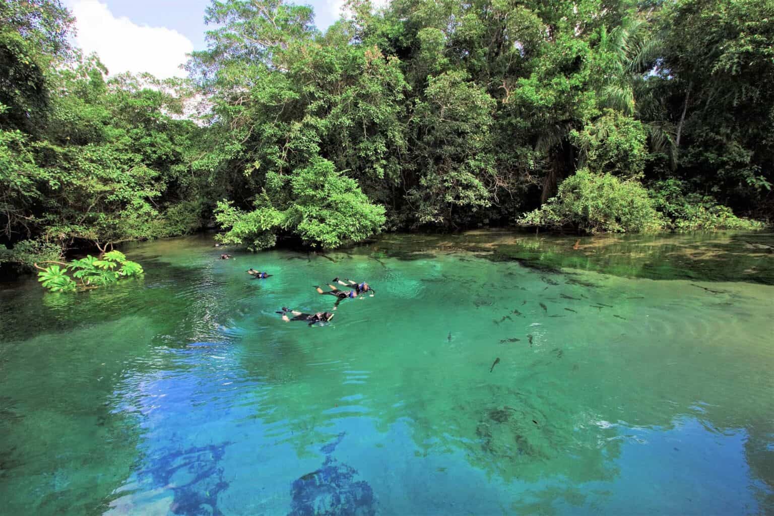 Lugares Para Conhecer Em Bonito: 20 Passeios Imperdíveis