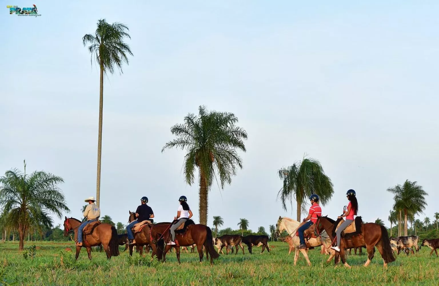 Cavalgada em Bonito: 3 Lugares Para Fazer a Atividade em 2025